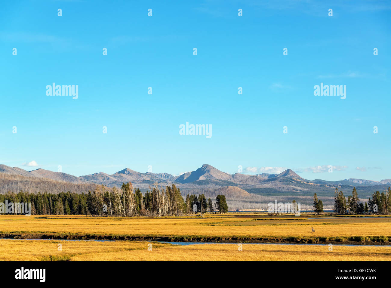 Yellowstone mountain field view hi-res stock photography and images - Alamy