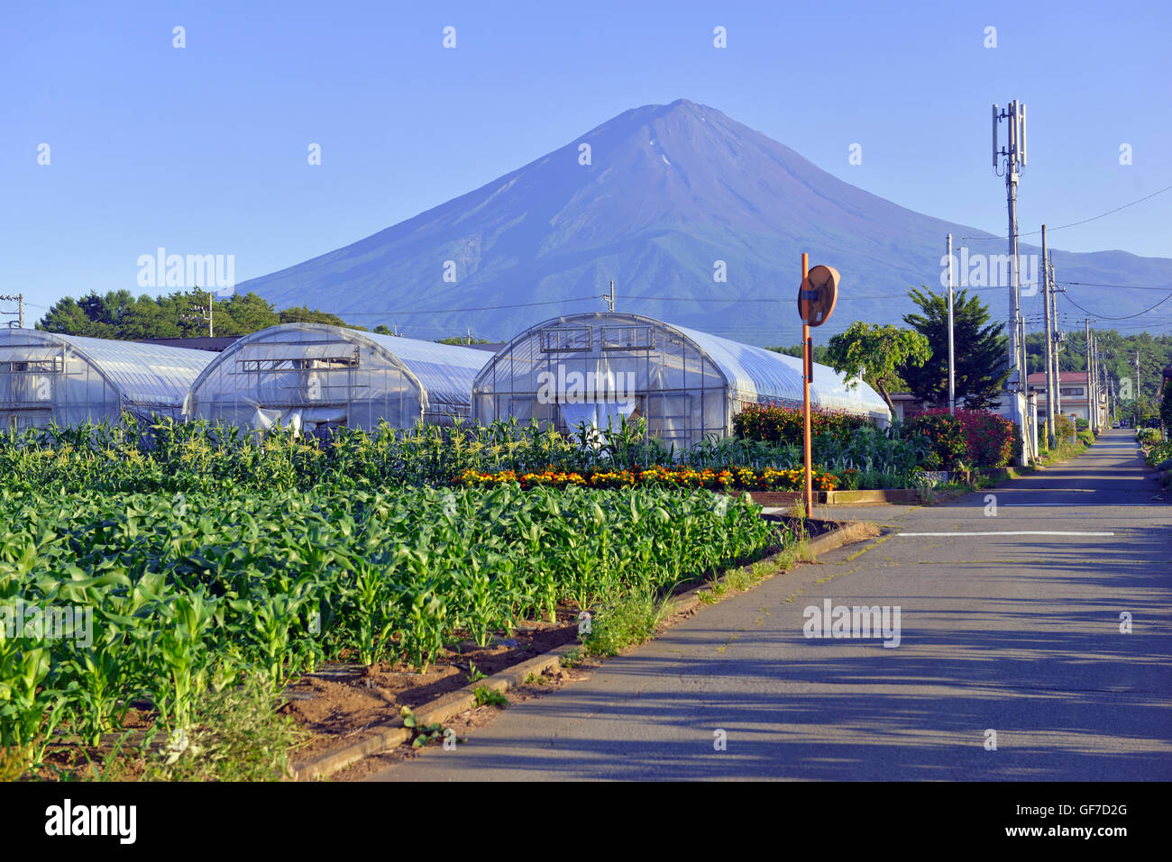 Mount Fuji volcano, Japan Stock Photo - Alamy
