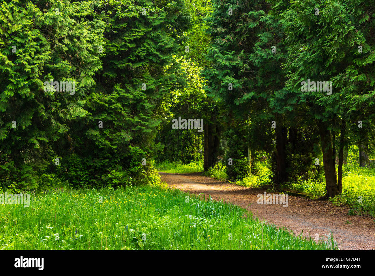 Narrow city path hi-res stock photography and images - Alamy