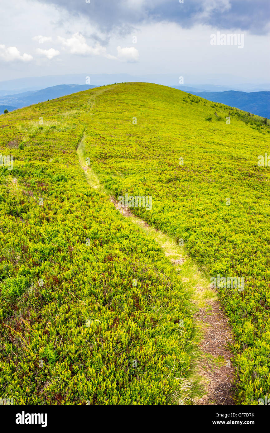 summer landscape. mountain curve path through the field turns uphill to ...