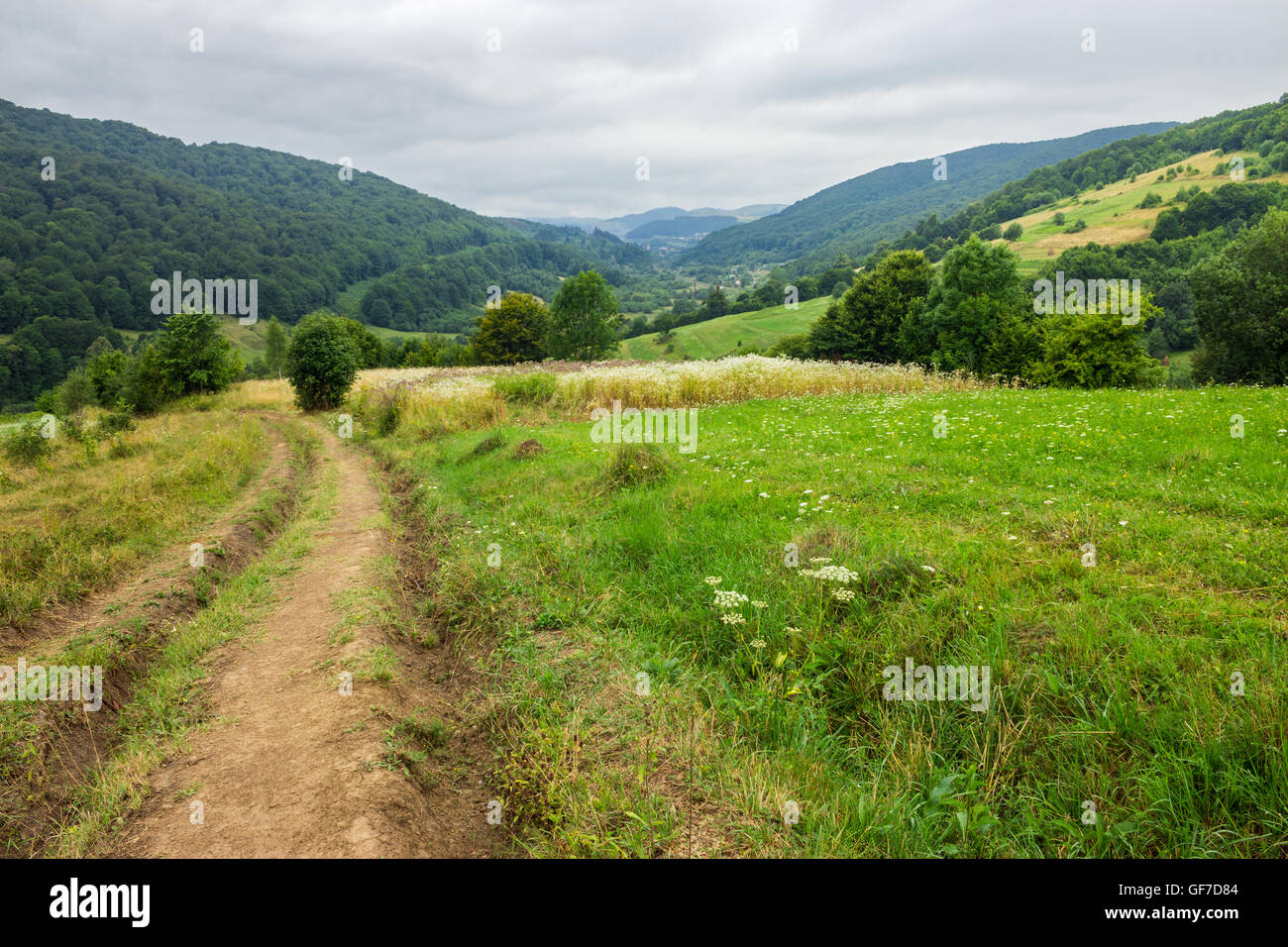 Rural nature path in hi-res stock photography and images - Alamy