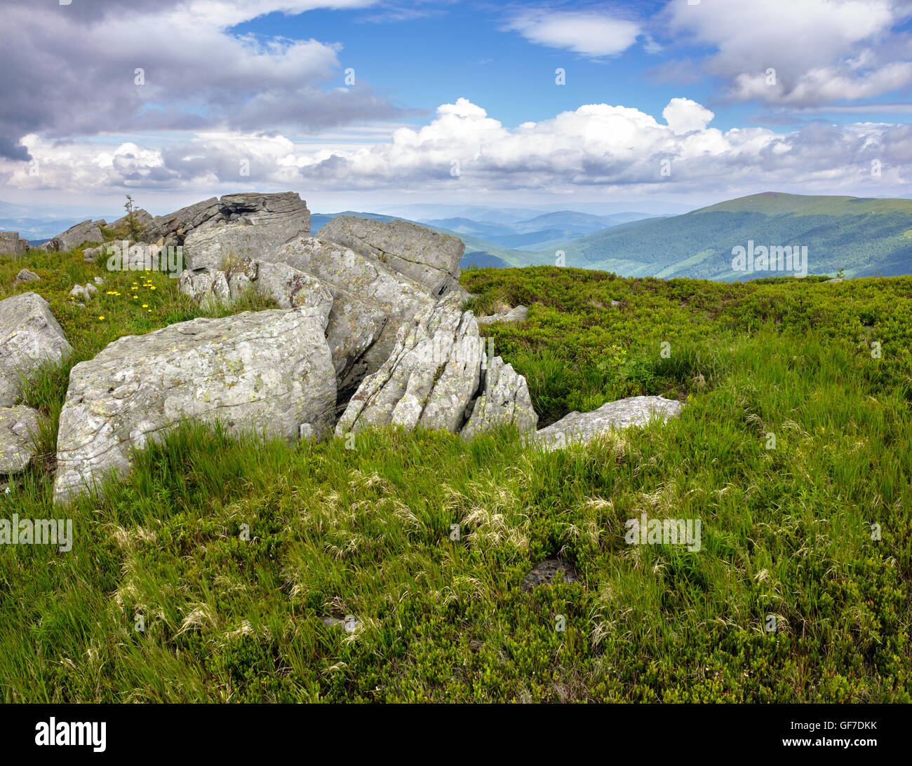 mountain summer landscape. meadow with huge stones among the grass on ...