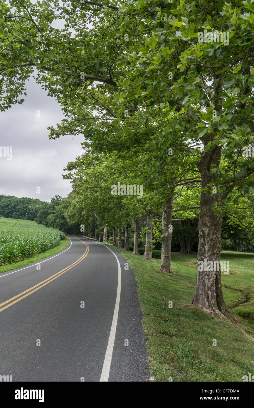 Tree lined hi-res stock photography and images - Alamy