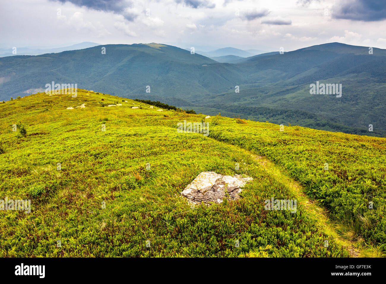 narrow meadow path in grass among white stones on top of the hill in ...