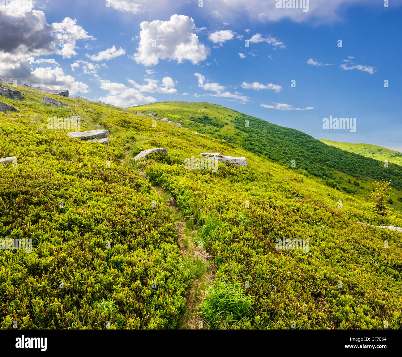 path through hillside with huge white sharp boulders near mountain peak ...