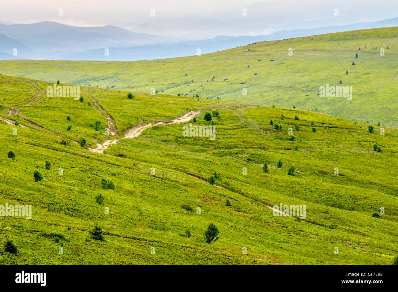 summer landscape. mountain path through the hillside meadow turns ...