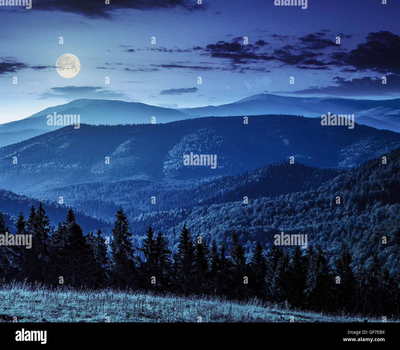 Wild moon forest hi-res stock photography and images - Alamy