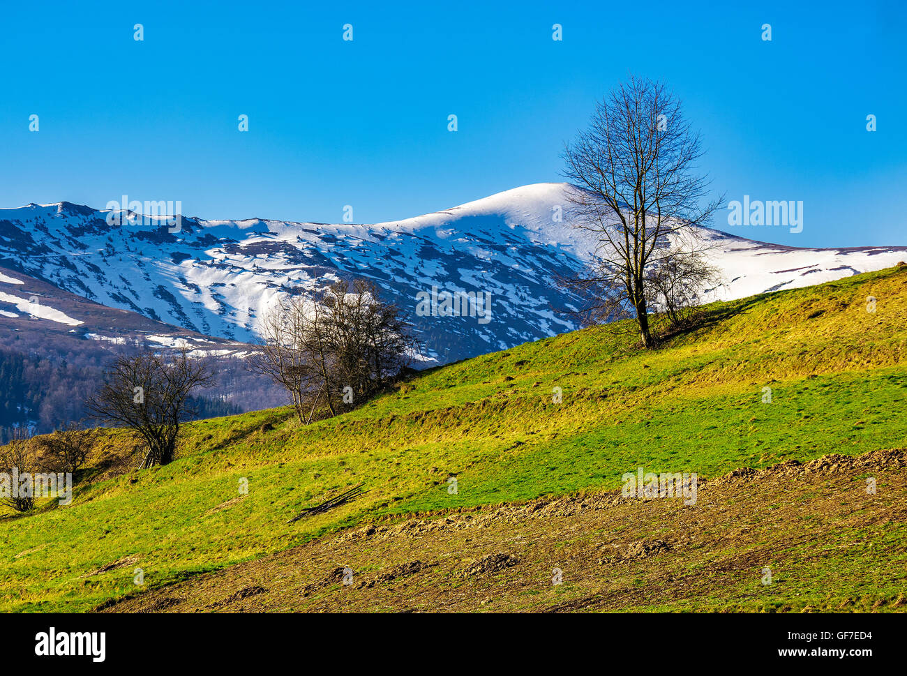 Mountain snow in spring hi-res stock photography and images - Alamy