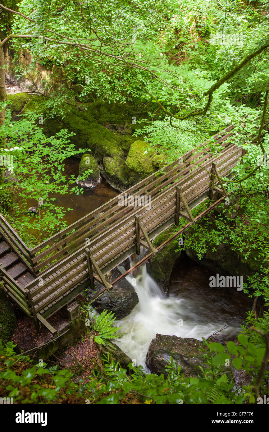 Rumbling bridge devon summer hi-res stock photography and images - Alamy