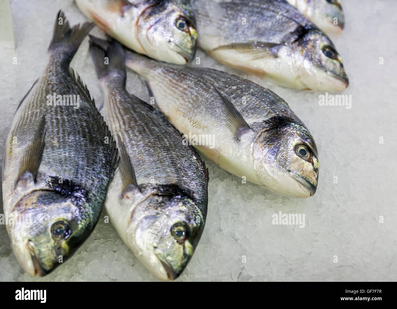 Fresh seafood display supermarket hi-res stock photography and images ...