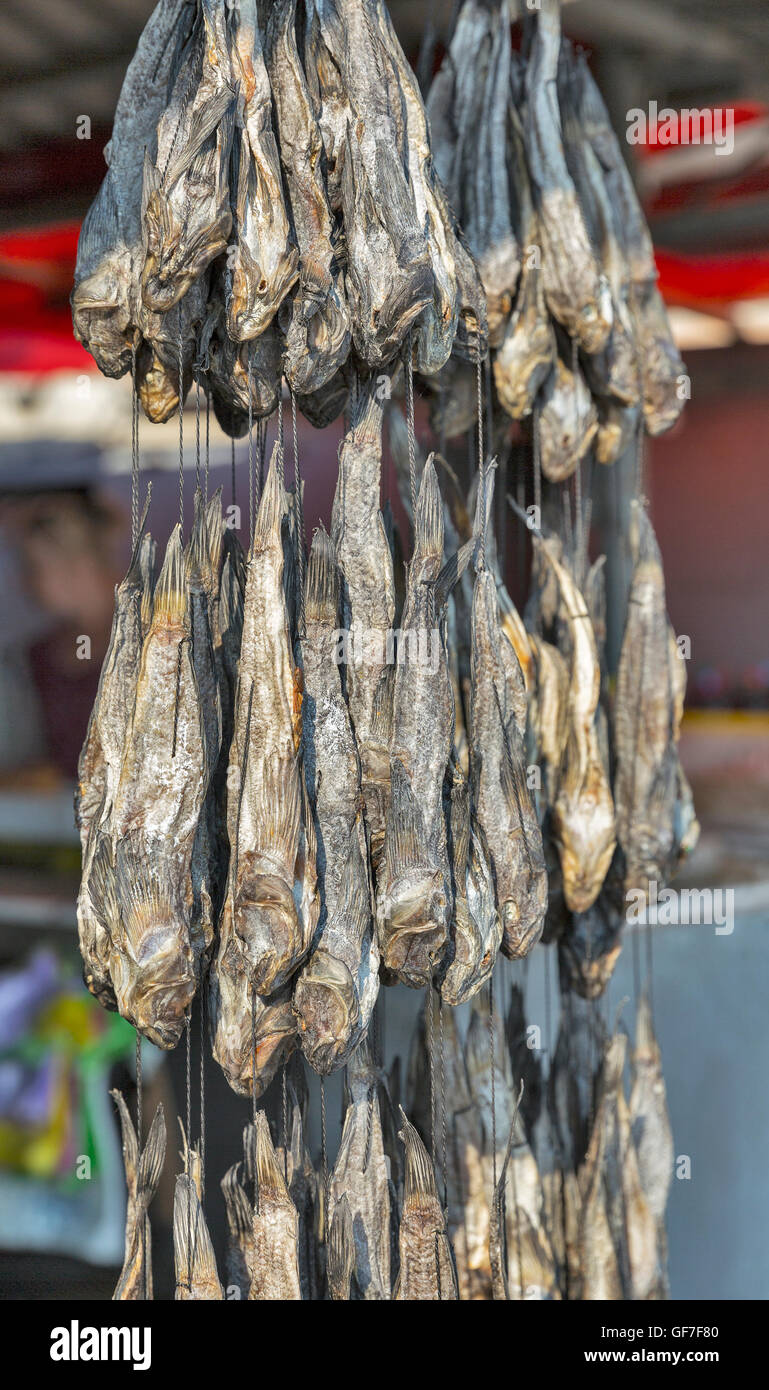 Bullhead hi-res stock photography and images - Alamy