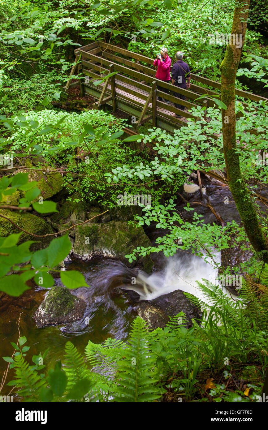 River Devon at Rumbling Bridge Perth and Kinross, Scotland Stock Photo ...
