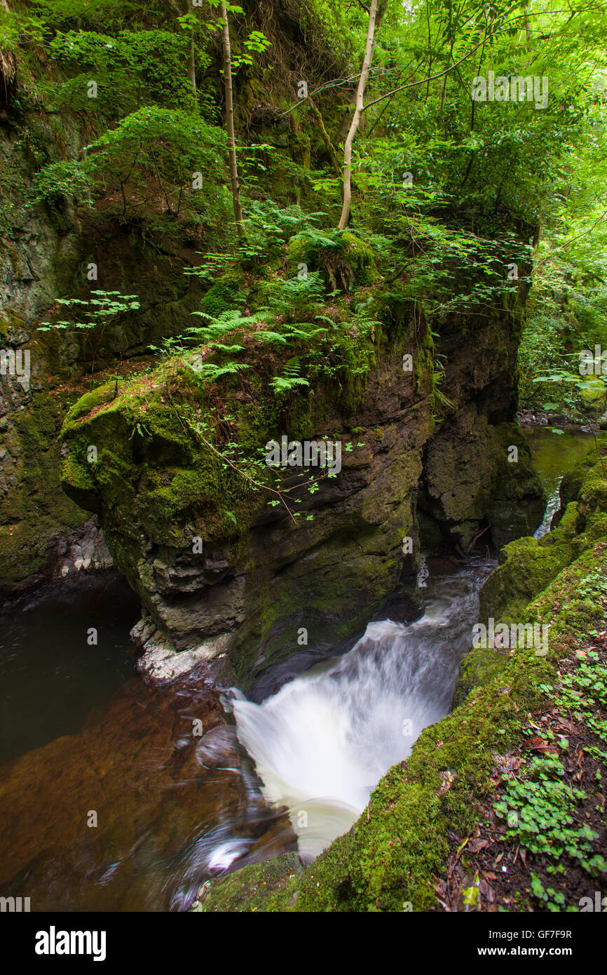 Rumbling bridge devon summer hi-res stock photography and images - Alamy
