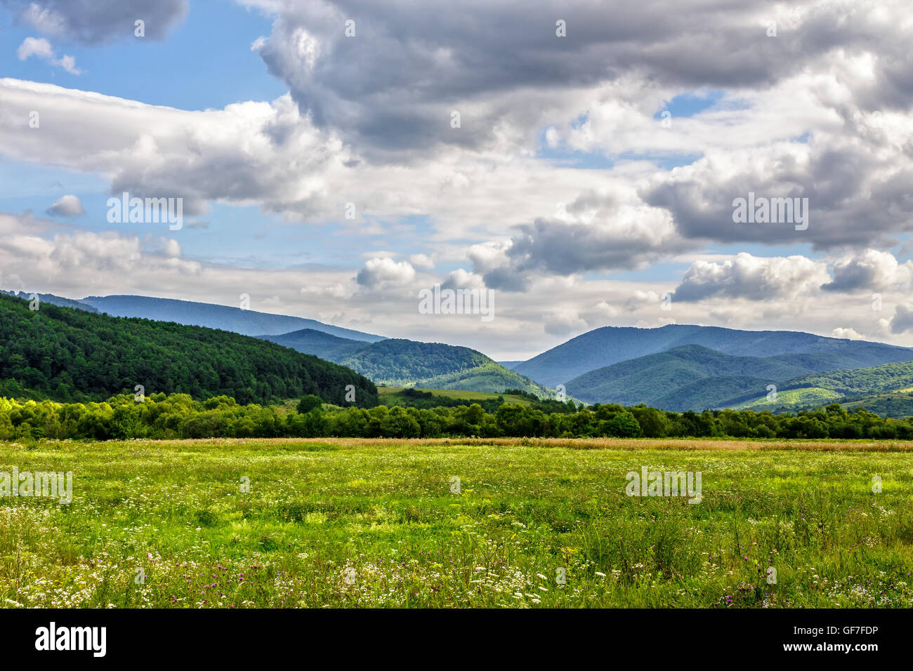 summer countryside landscape with forest near the abandoned rural field ...