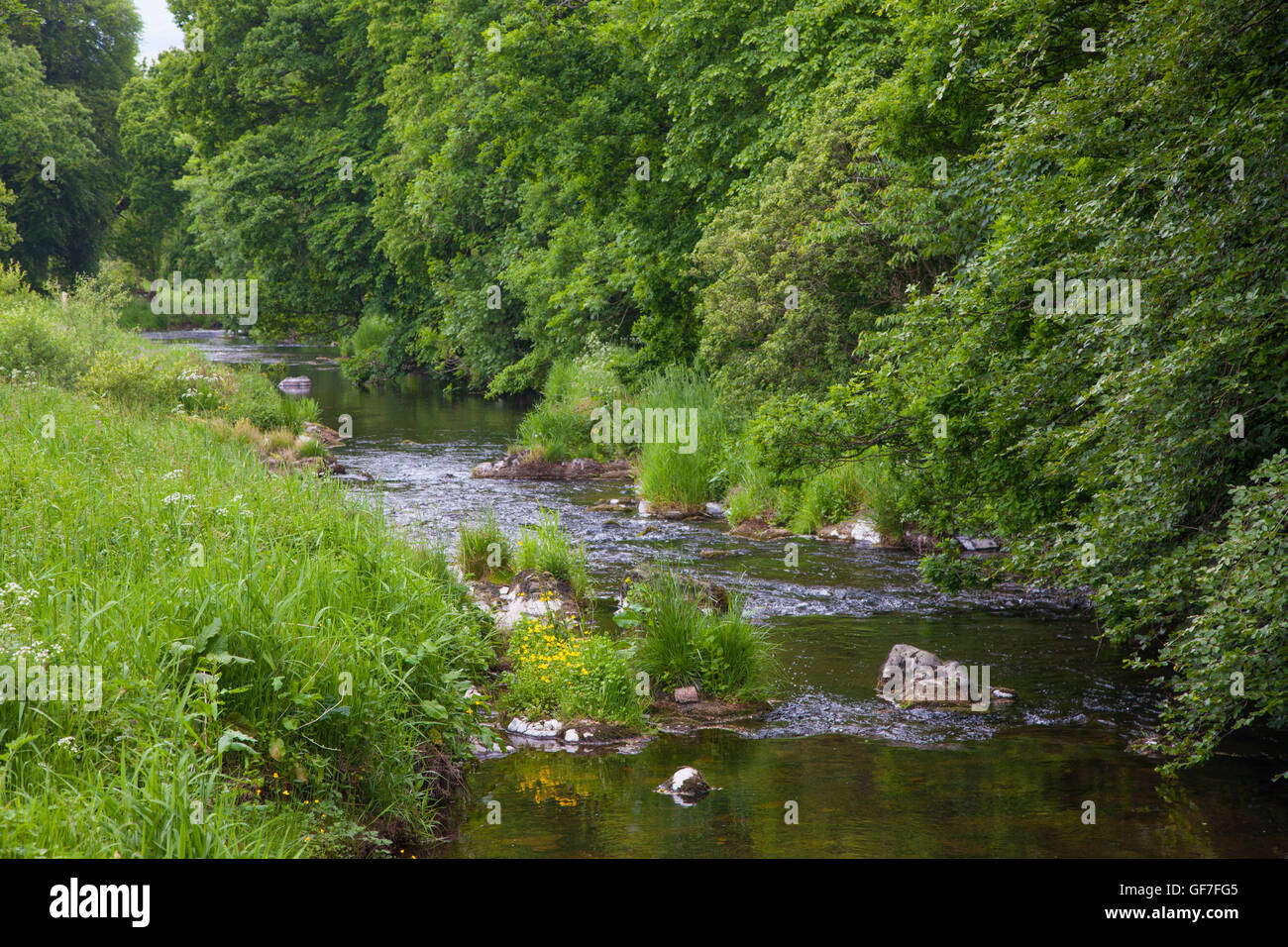River Devon at Rumbling Bridge Perth and Kinross, Scotland Stock Photo ...