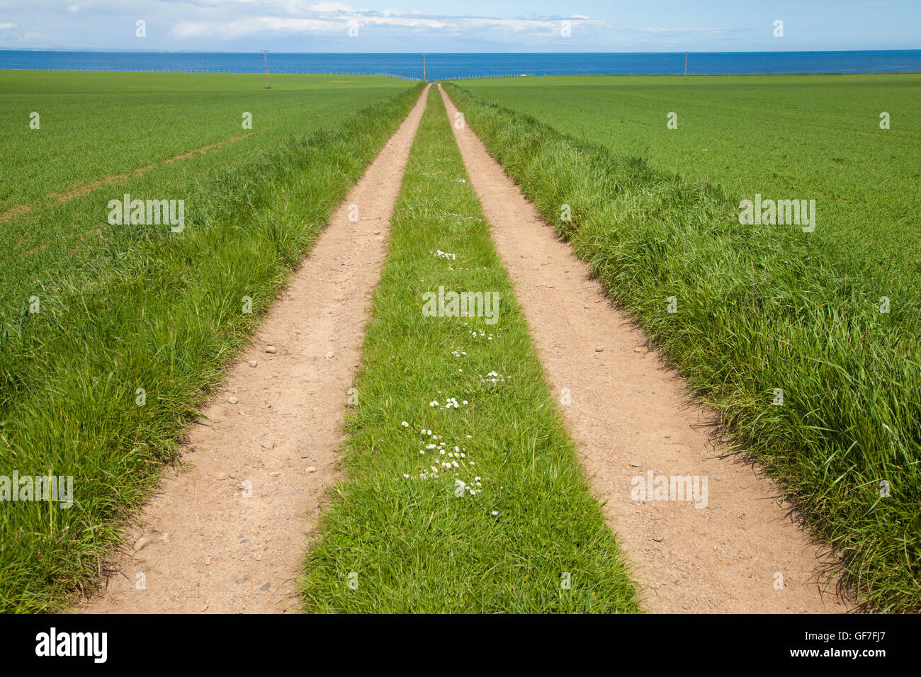 Disappearing point hi-res stock photography and images - Alamy