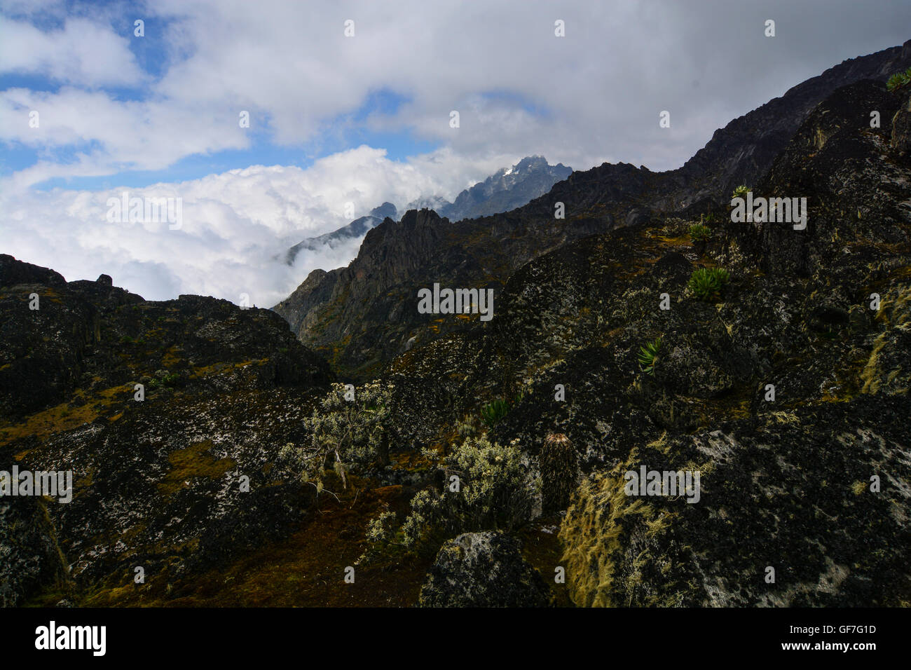 View of Mount Stanley above the clouds Stock Photo - Alamy