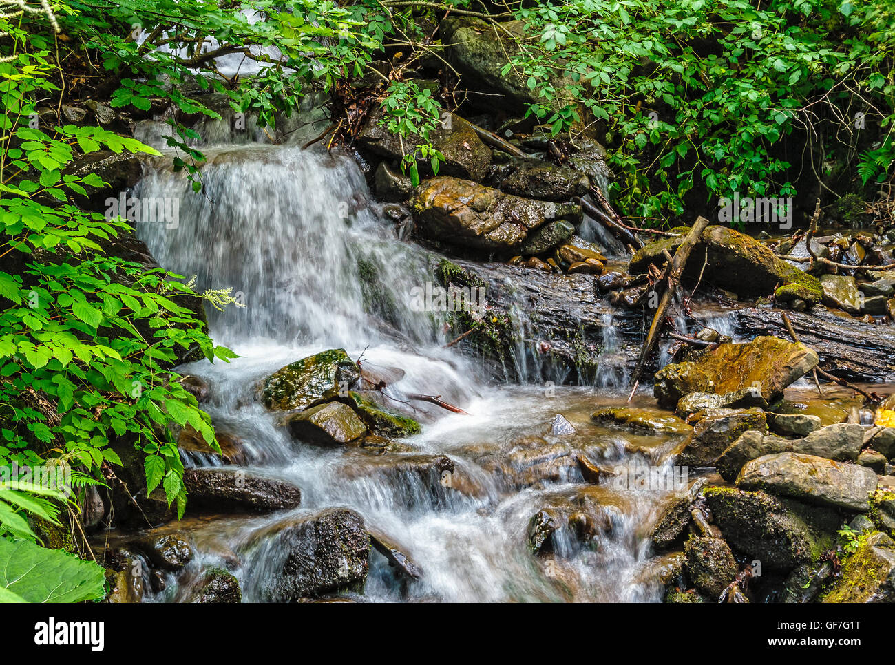 River waterfall behind tree hi-res stock photography and images - Alamy