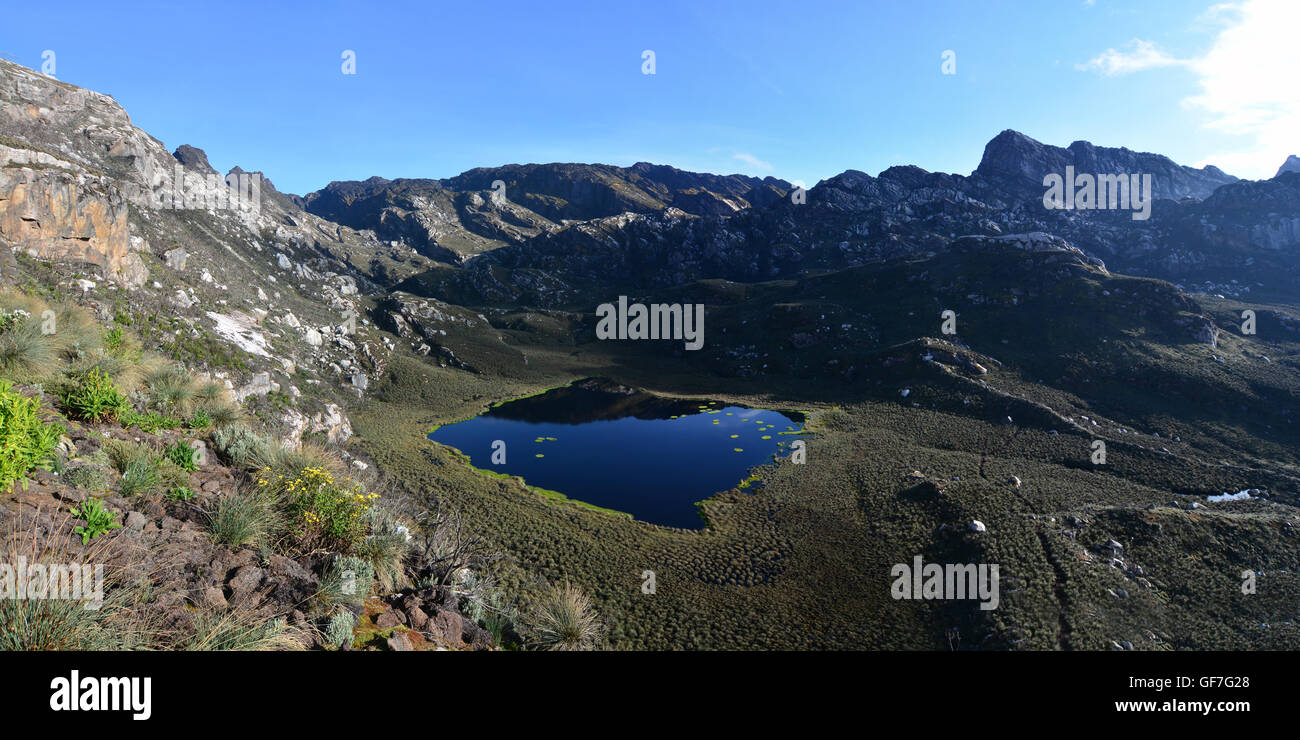 Bugata Lake under the sunshine, along the Kilembe Trail, Rwenzori ...