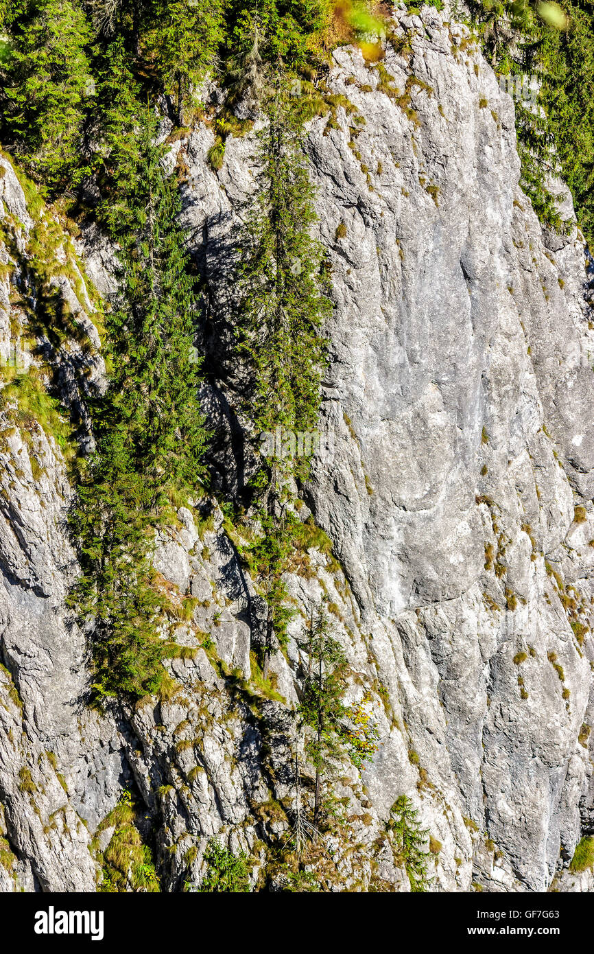 Canyon wall texture hi-res stock photography and images - Alamy