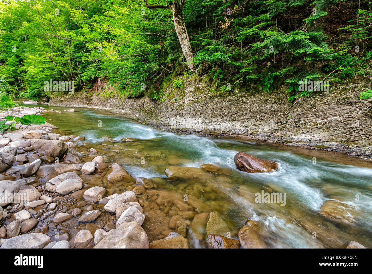 Beautiful shot water river forest hi-res stock photography and images ...
