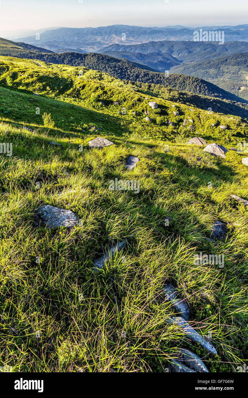 white sharp boulders on the hillside Stock Photo - Alamy