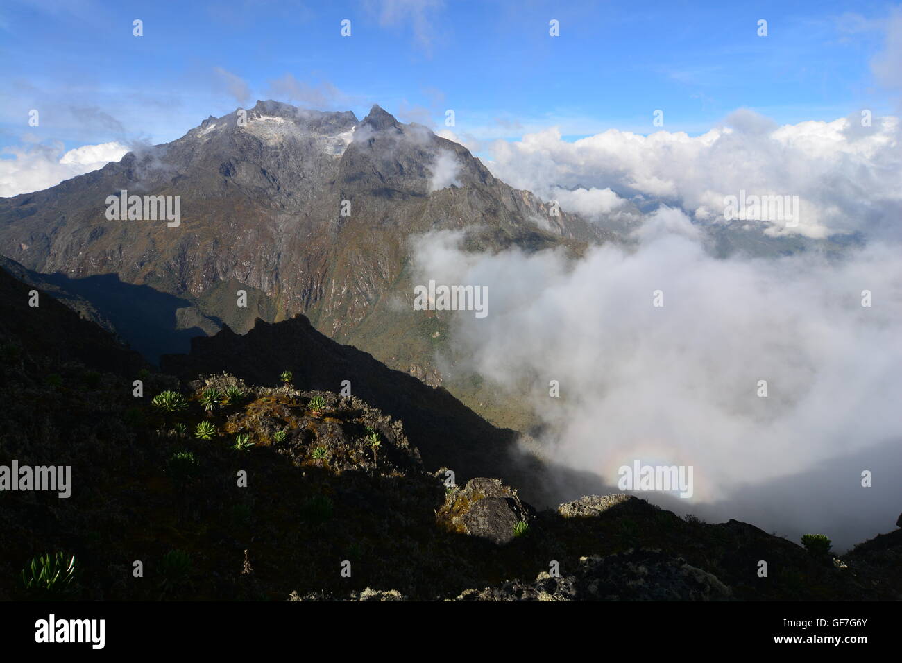 Rwenzori mountains national park hi-res stock photography and images ...