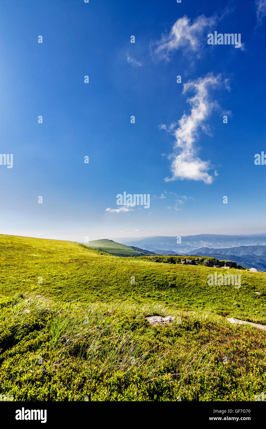 Green grass hillside hi-res stock photography and images - Alamy