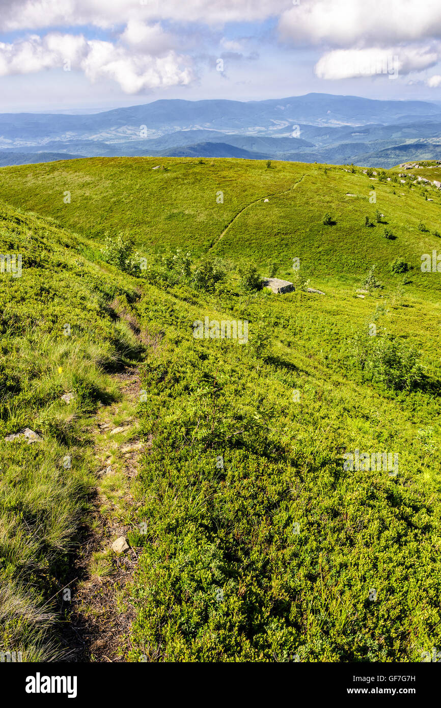 narrow meadow path in grass among white stones on top of the hill in ...