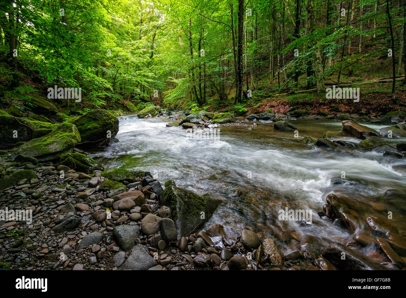 Beautiful mountain stream rain forest hi-res stock photography and ...