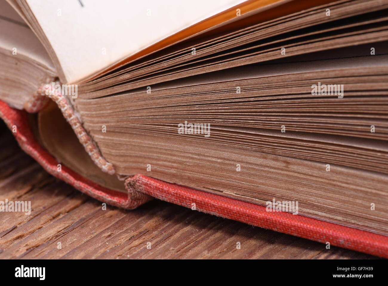 Macro closeup many open hi-res stock photography and images - Alamy