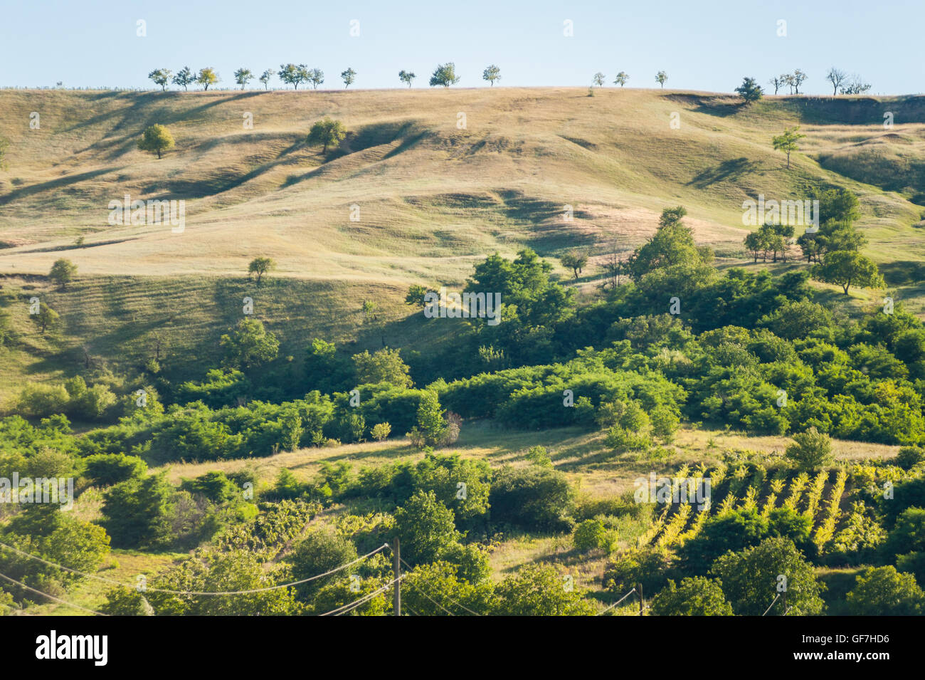 Summer landscape in the mountains and hills, Moldova Stock Photo - Alamy
