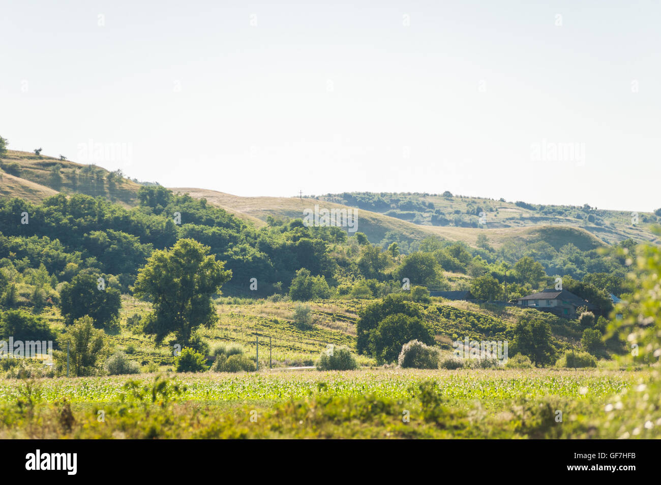 Summer landscape in the mountains and hills, Moldova Stock Photo - Alamy