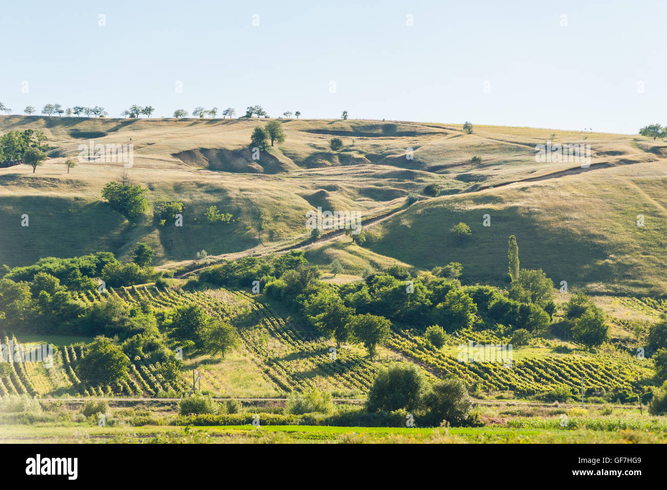 Summer landscape in the mountains and hills, Moldova Stock Photo - Alamy