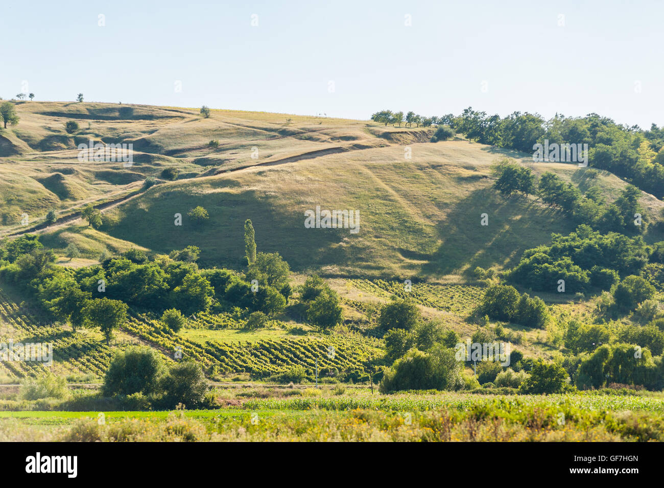 Summer landscape in the mountains and hills, Moldova Stock Photo - Alamy