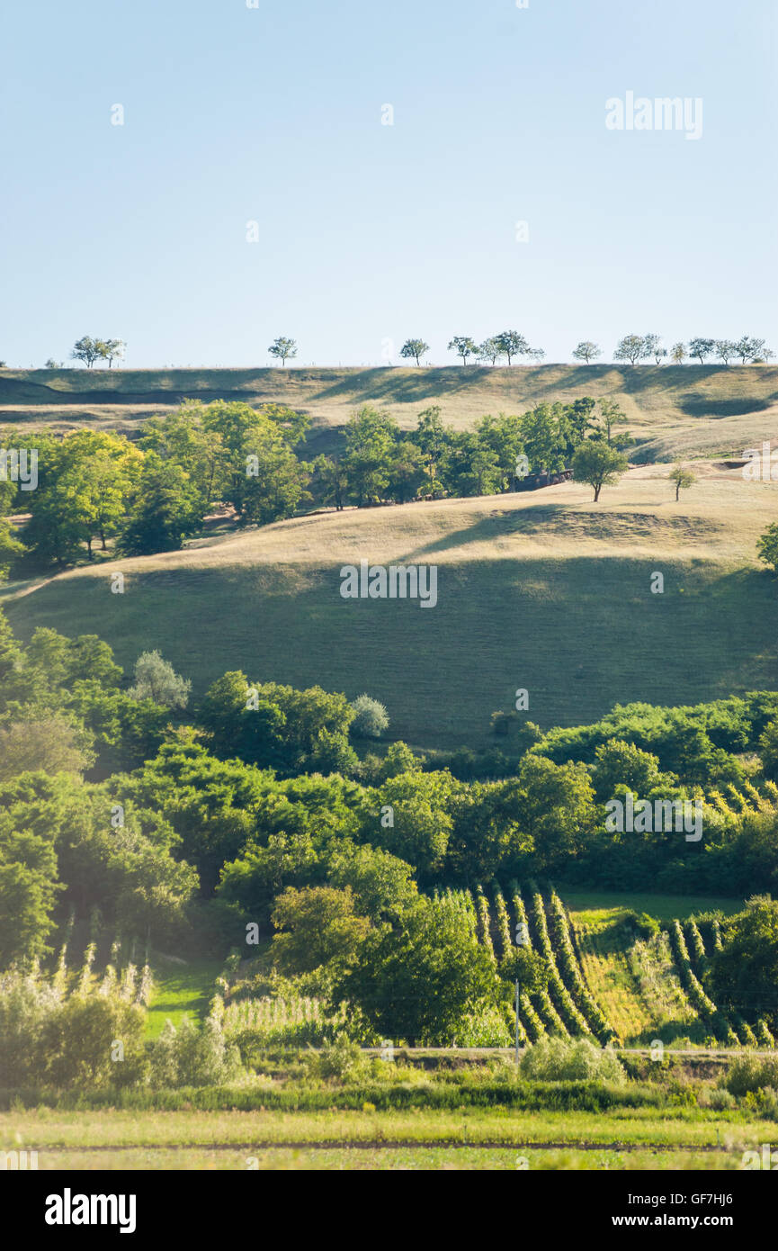 Summer landscape in the mountains and hills, Moldova Stock Photo - Alamy