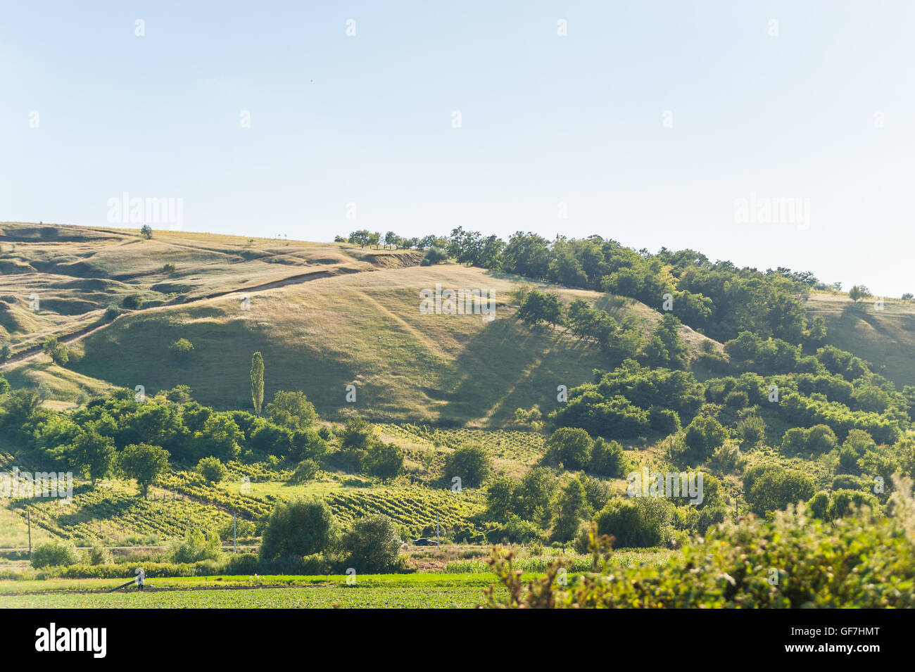 Summer landscape in the mountains and hills, Moldova Stock Photo - Alamy