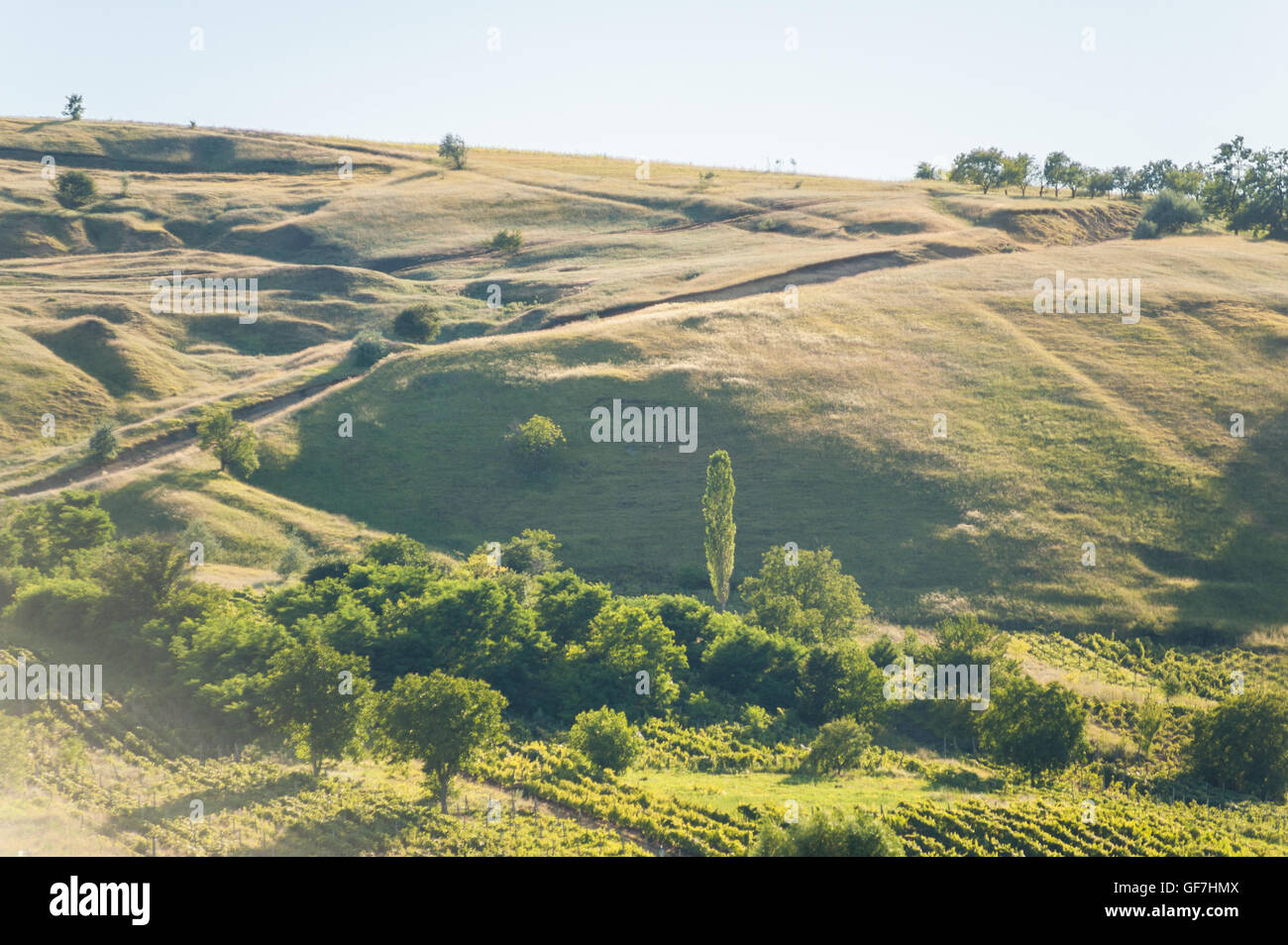 Summer landscape in the mountains and hills, Moldova Stock Photo - Alamy