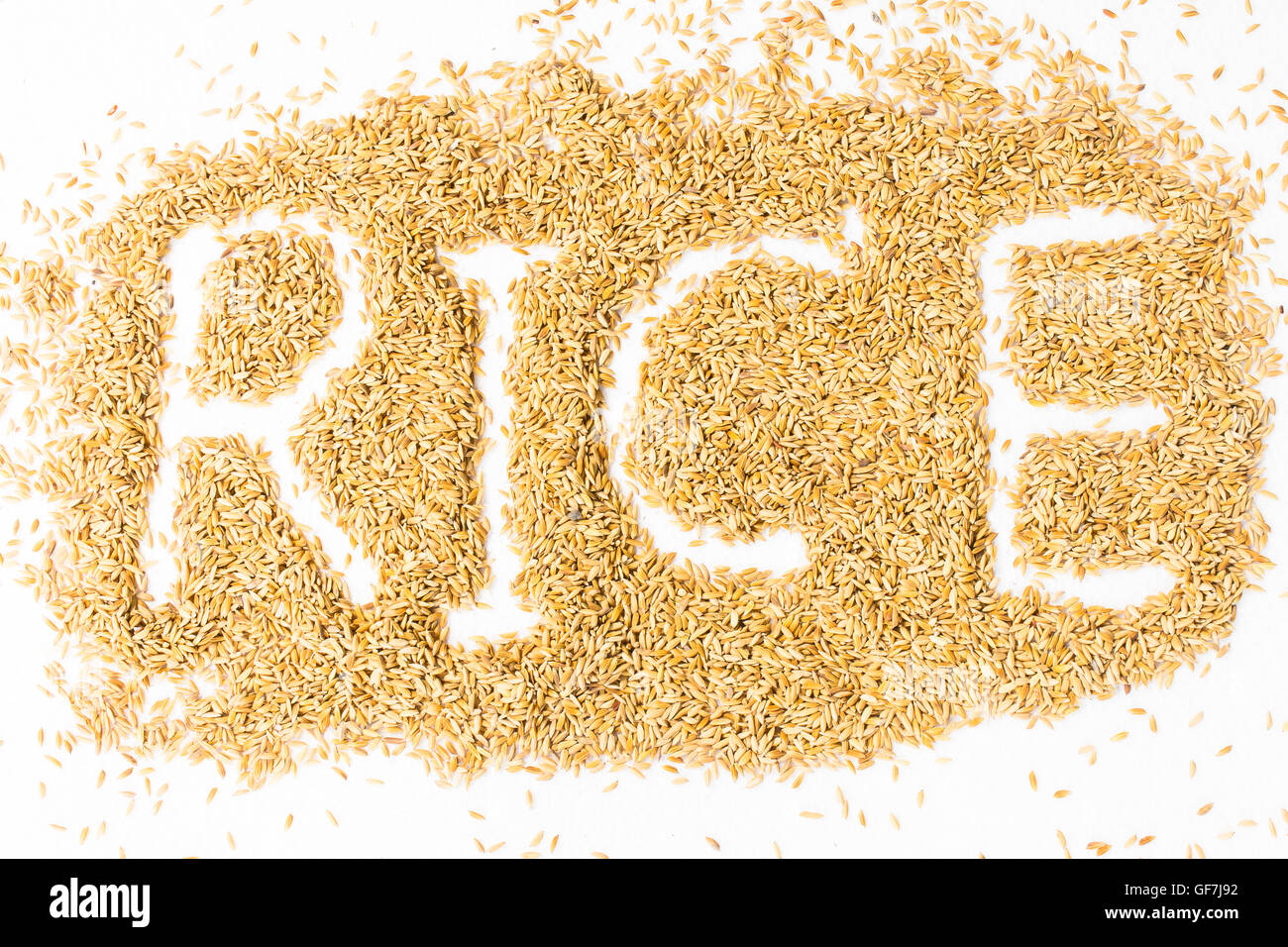 Paddy with rice alphabet isolated on white background.Raw food or Rice ...
