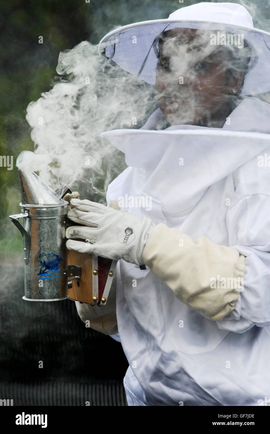 Smoke for smoking beehive Stock Photo - Alamy