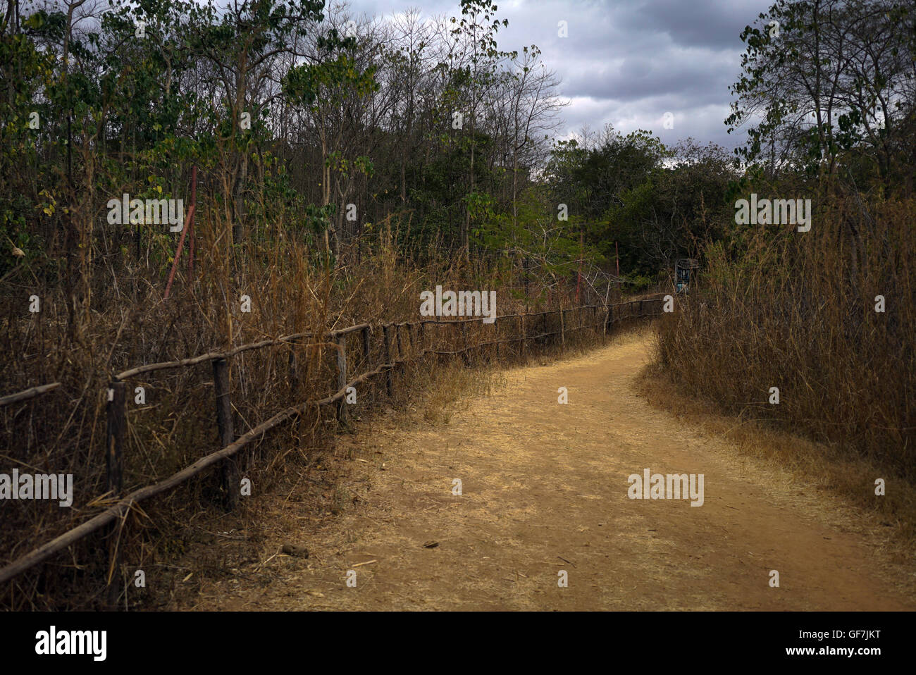 Lilongwe wildlife hi-res stock photography and images - Alamy