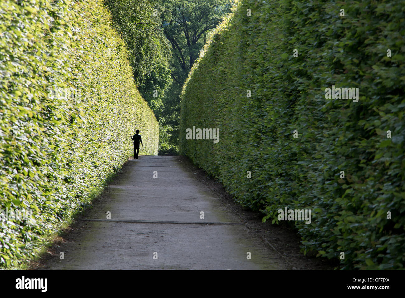 Labyrinth way man hi-res stock photography and images - Alamy