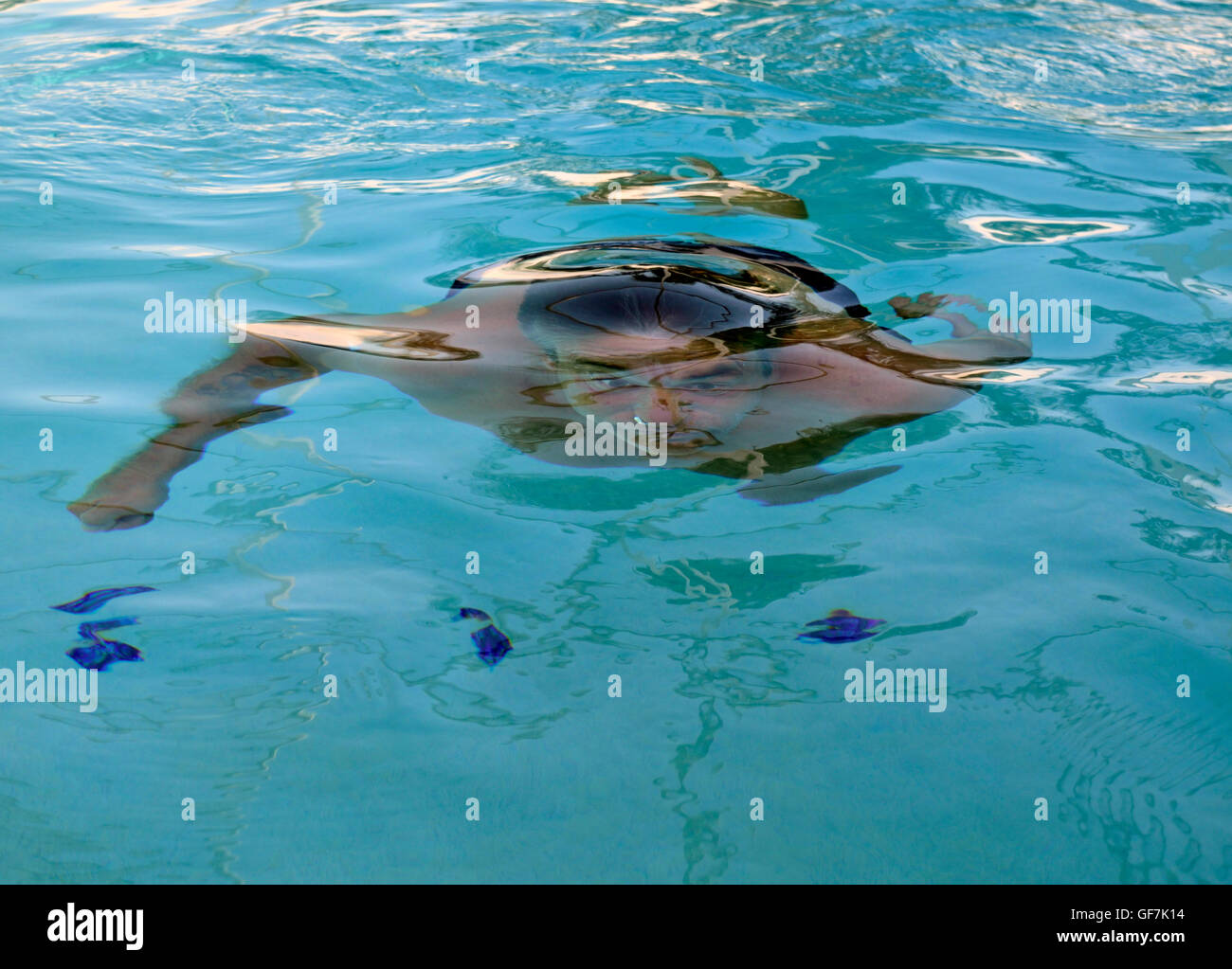 Senior man swimming hi-res stock photography and images - Alamy