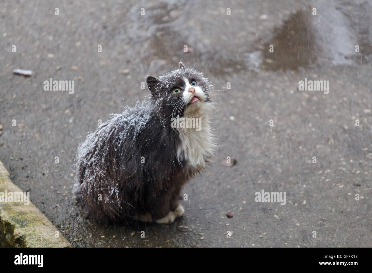 Winter homelessness homelessness hi-res stock photography and images ...