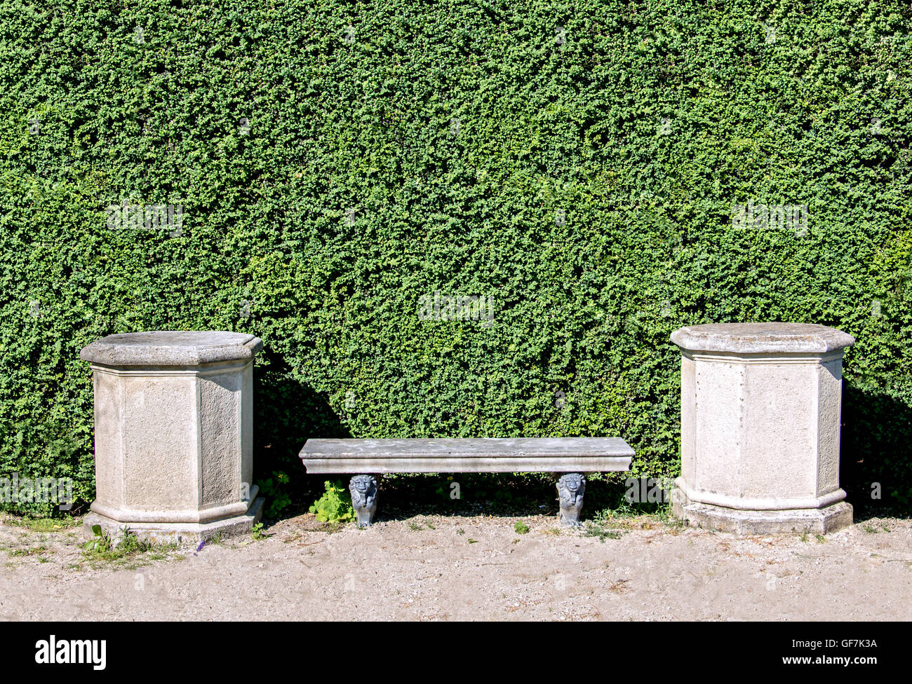 stone bench in the park with green hedgerow Stock Photo - Alamy