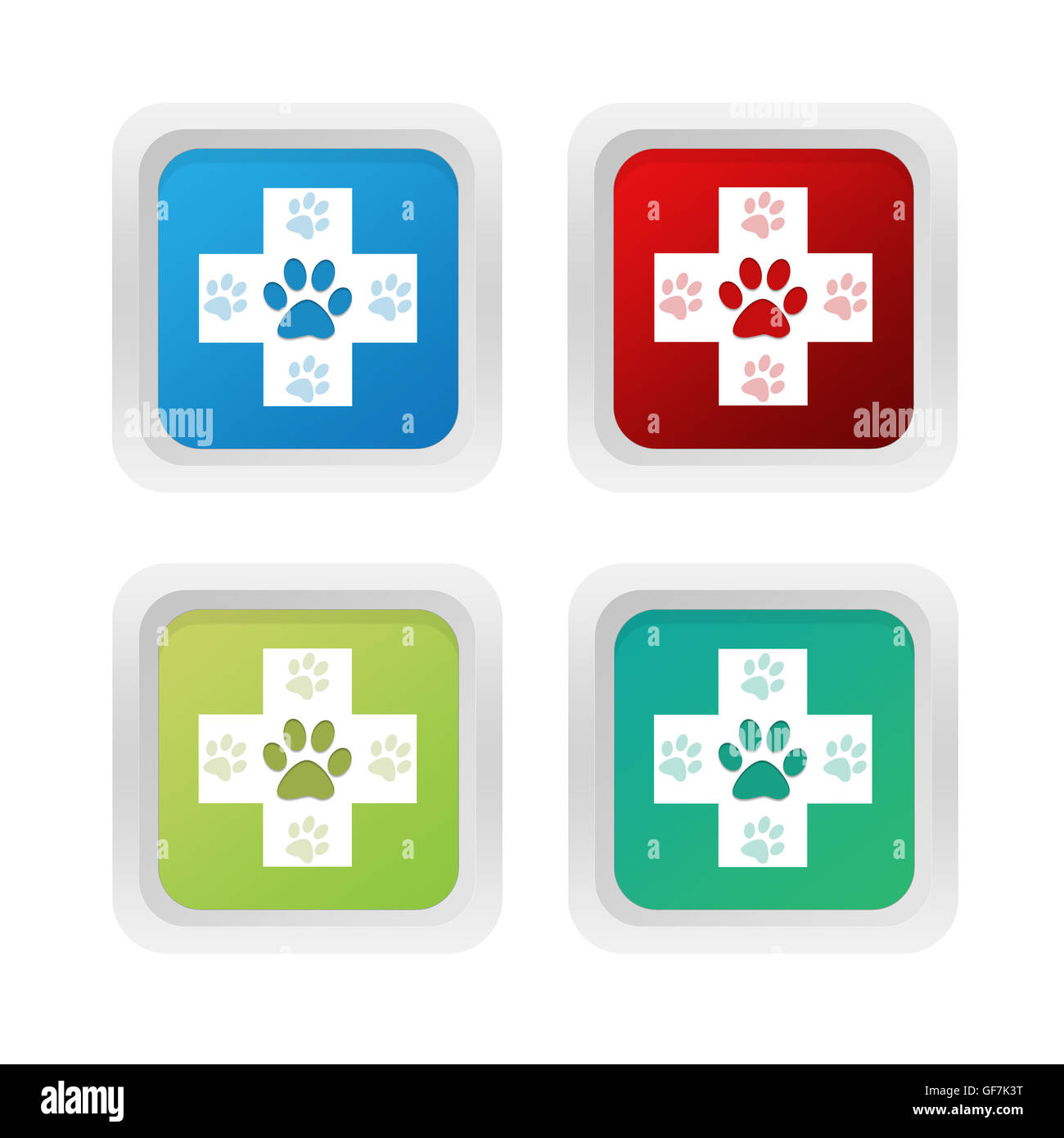 Set of squared colorful buttons with veterinary symbol in blue, green ...