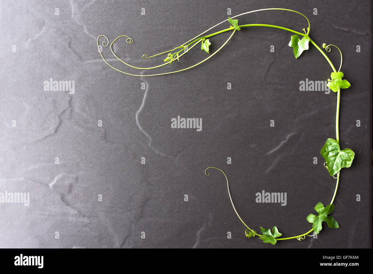 Amylase hi-res stock photography and images - Alamy