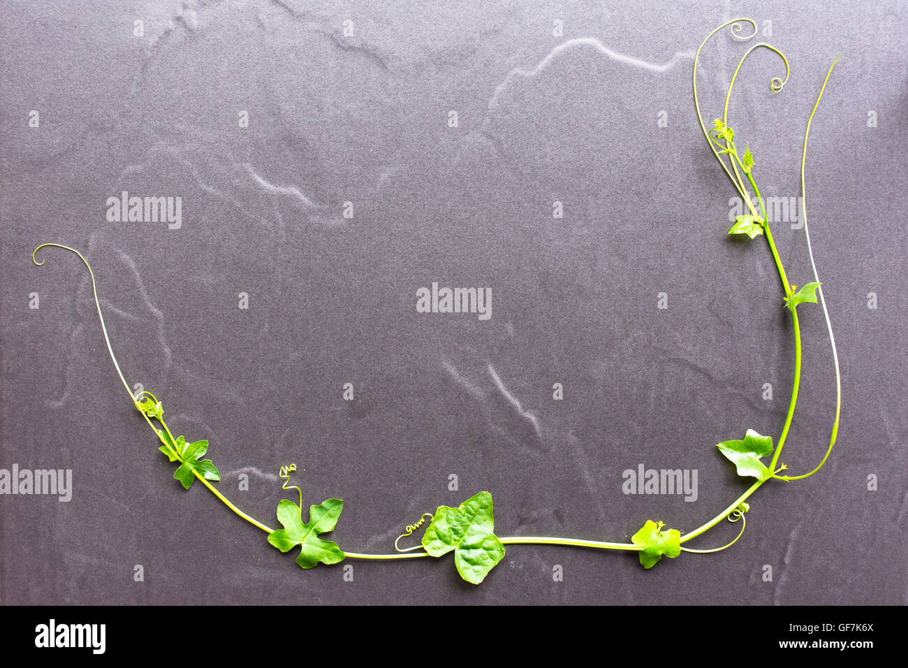 Amylase hi-res stock photography and images - Alamy