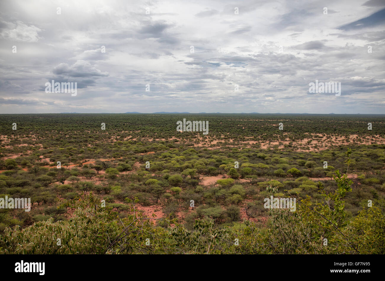 Open plains hi-res stock photography and images - Alamy