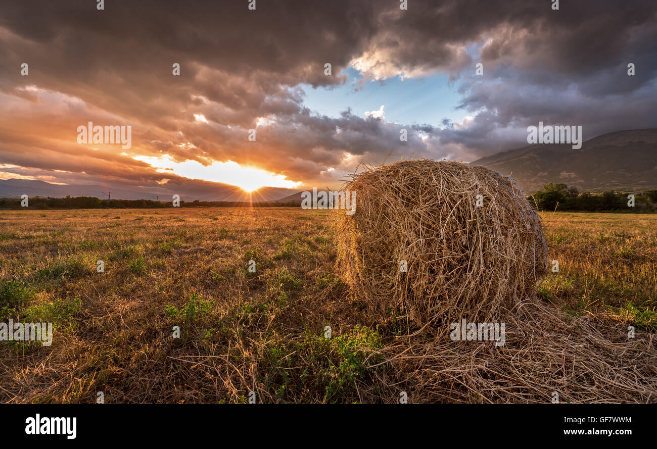 Beautiful hay field hi-res stock photography and images - Alamy